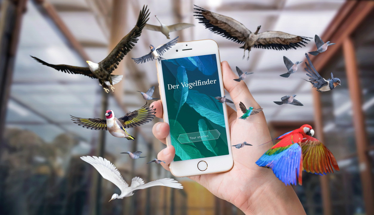 Developer/Designer — stef tervelde